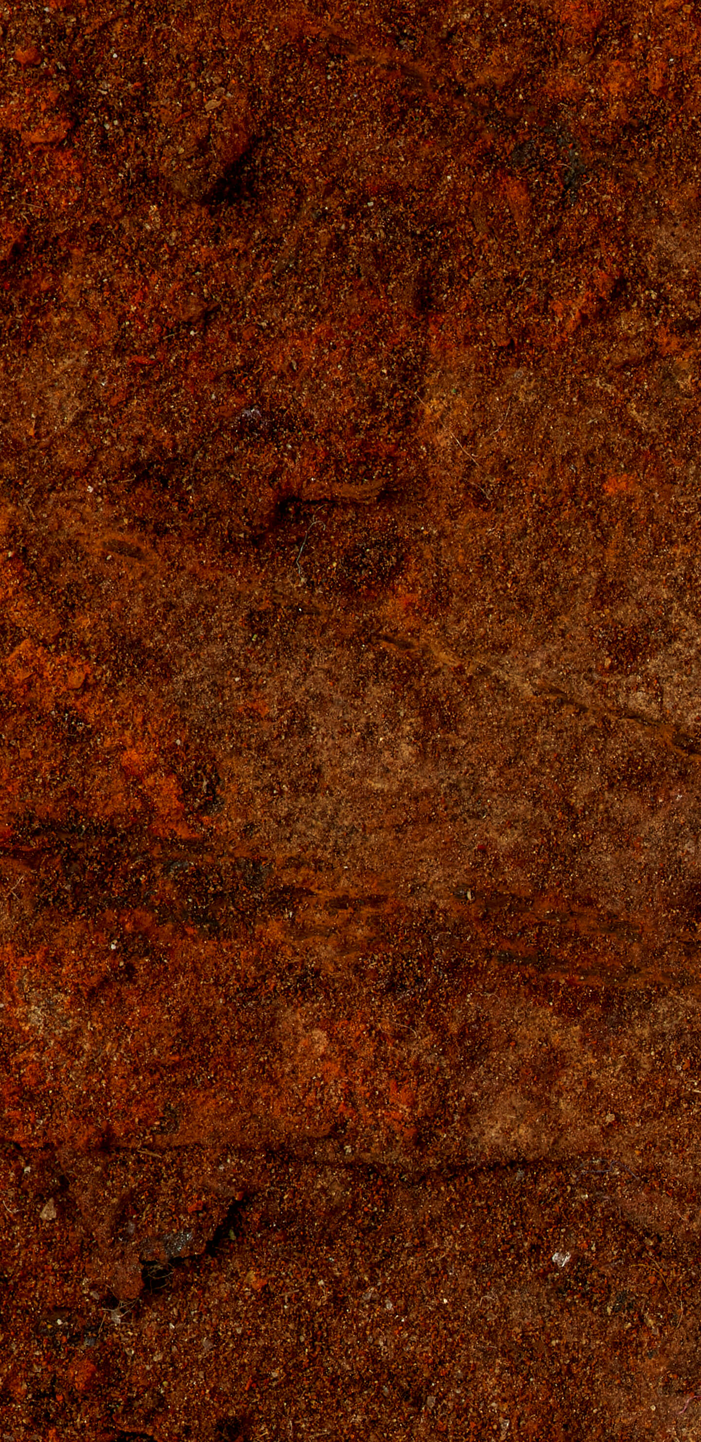 Struktur des Rostes - Fototapete