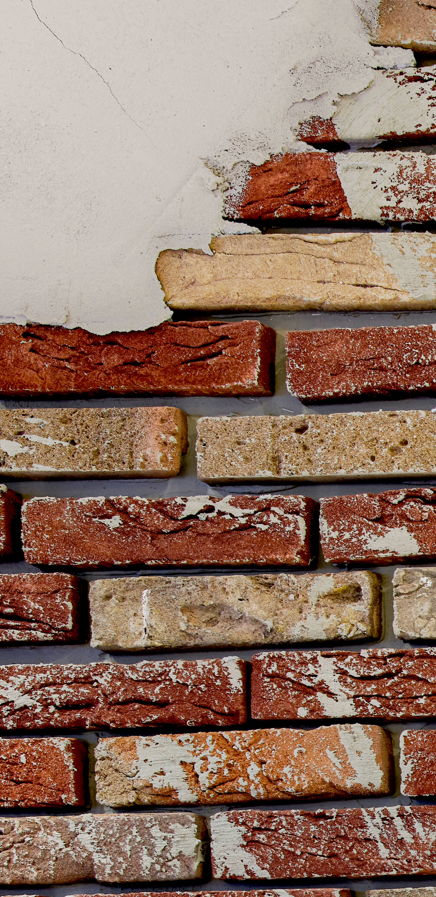 Wand mit Stuck - Fototapete